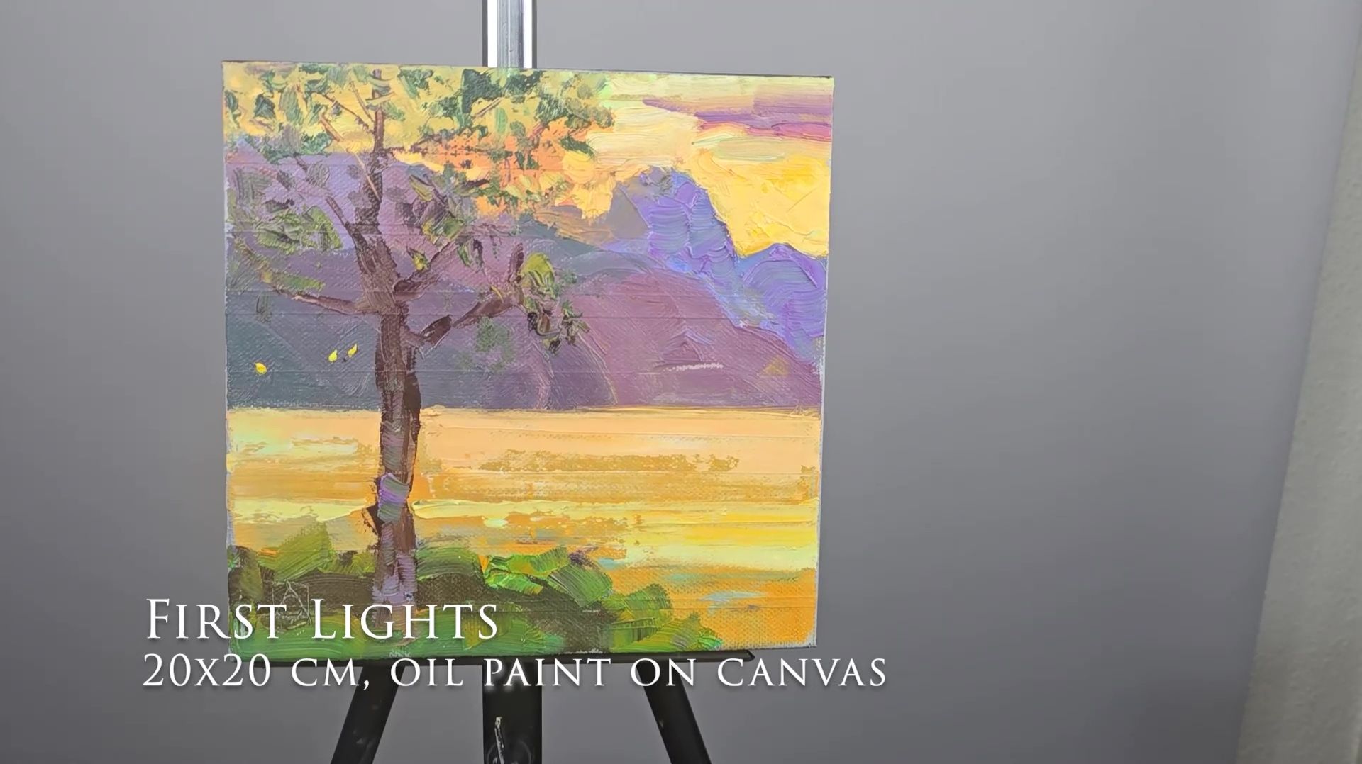 Первые огни