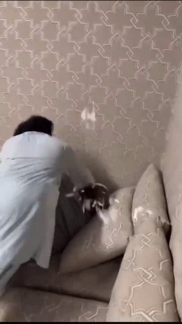 Дружбаны жестко шутят над приятелем