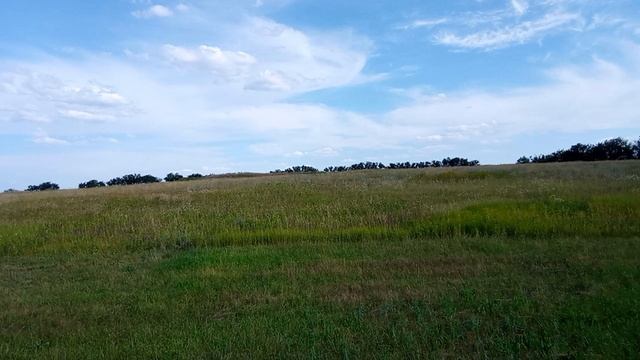 Исчезнувшая артель Роза (Роза Люксембург), Краснокутский район.