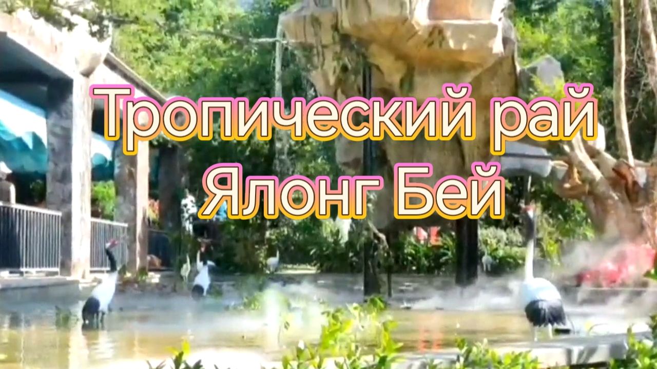 Тропический рай. Ялонг Бей.