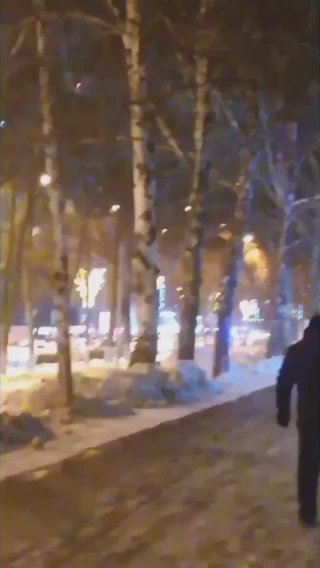 Прогулка зимним вечером.