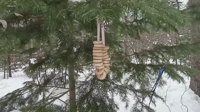 Вечерняя прогулка. 21 января Южно-Сахалинск.mp4