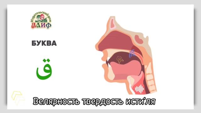 исти'ля (твердость, велярность)