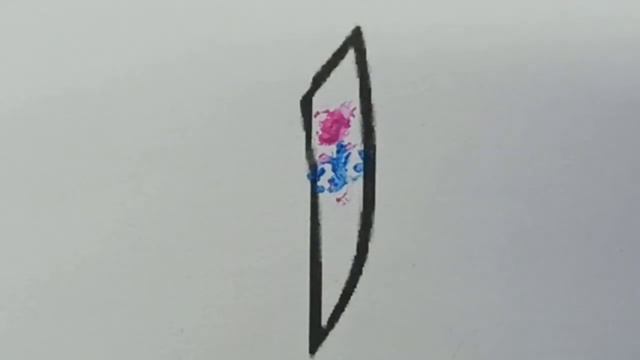 изучаем и украшаем буквы