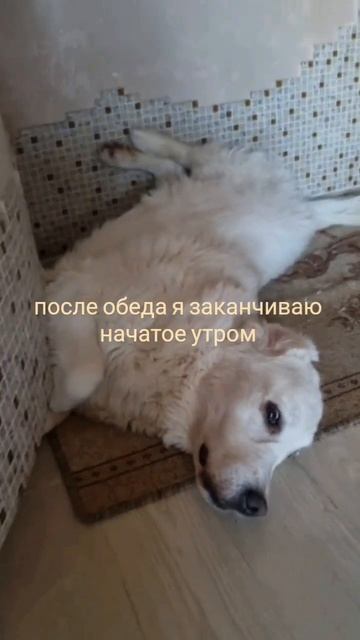 Чем вы вообще занимаетесь?😁