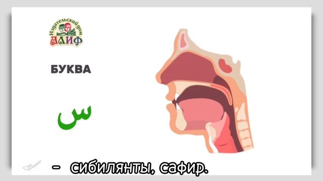 сибилянты сафир