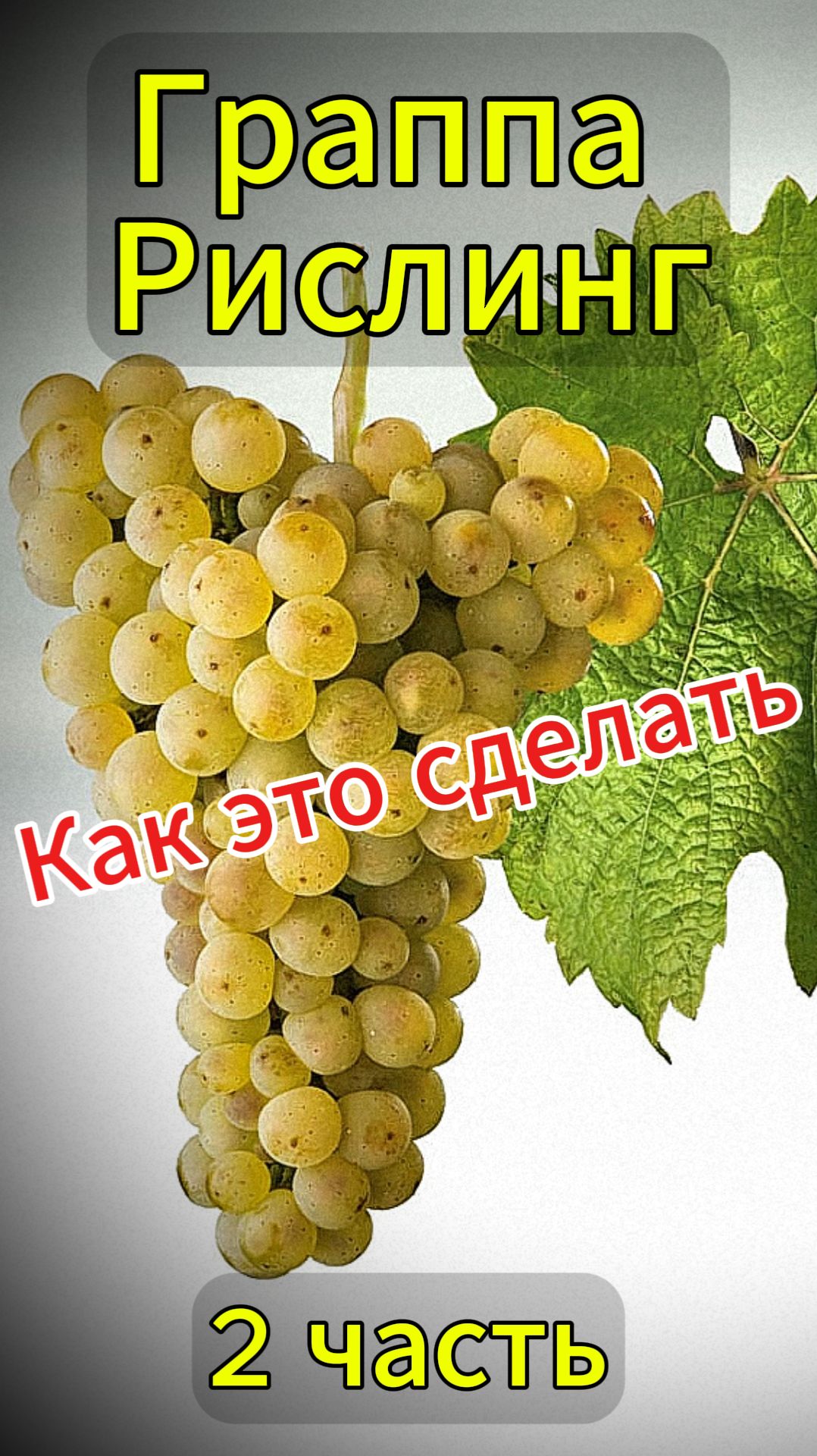 Граппа, как это сделано - "Рислинг" 2 часть