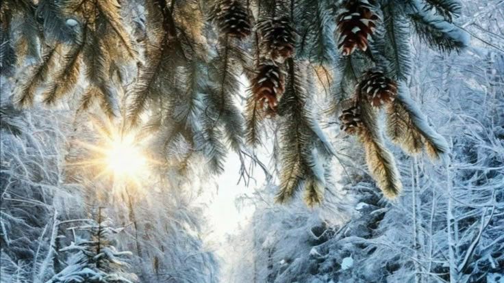 Доброе Зимнее Утро!!! Самое нежное музыкальное поздравление!