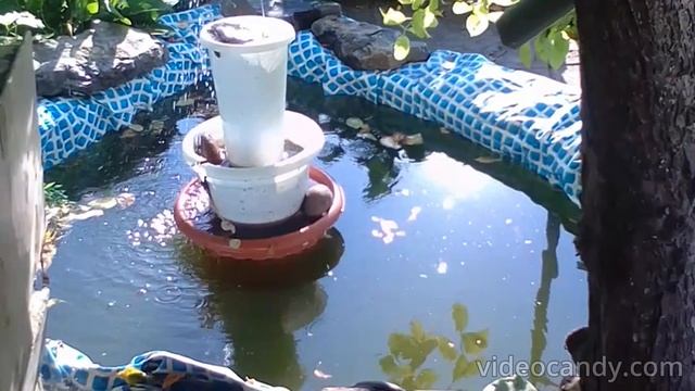 Блаженство. Вода и природа.