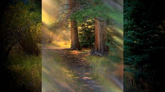 HuNTTeRR - Сквозь Вселенную