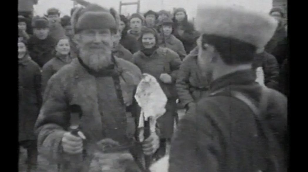 Ой, леса вы лужские, псковские холмы