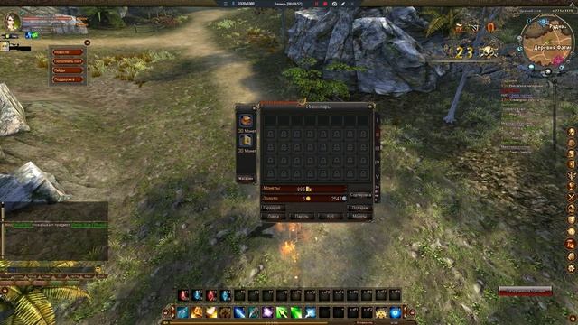 Reborn Online 5 часть на этом все