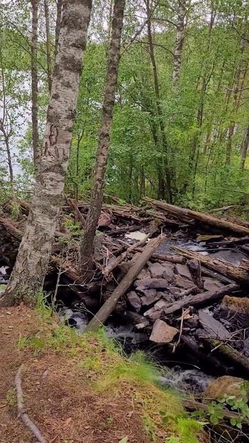 Карелия 2025. Гирвас. Поор-порог. Суна. Июль 2025г (Часть 6)