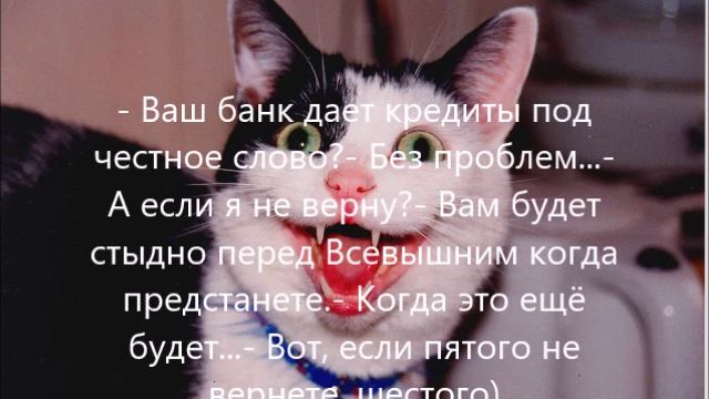 Анекдотцы - 14 🤣