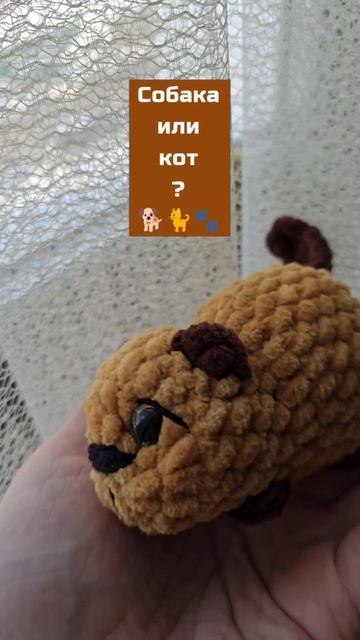 #собака #кот