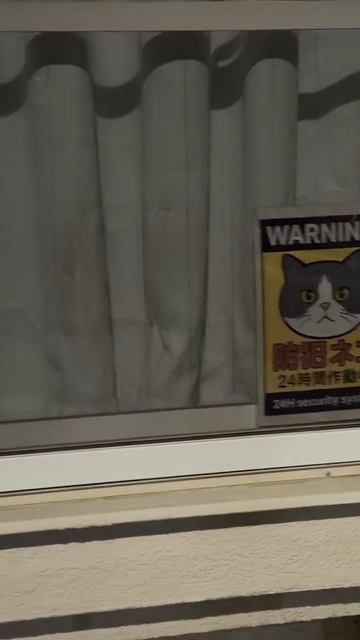 Японцы изобрели наблюдение нового поколения, работает круглосуточно, но требует корм и погладить.