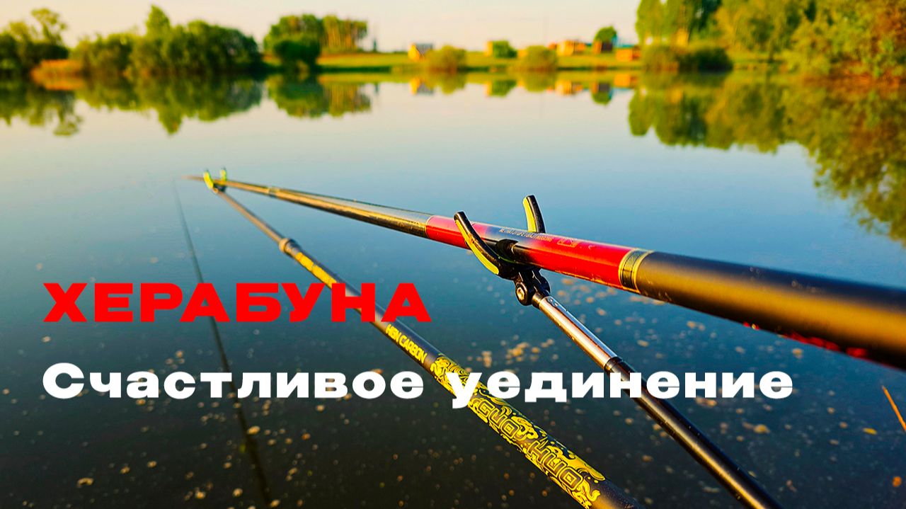 Один на пруду. Свист лески и всплеск у воды..