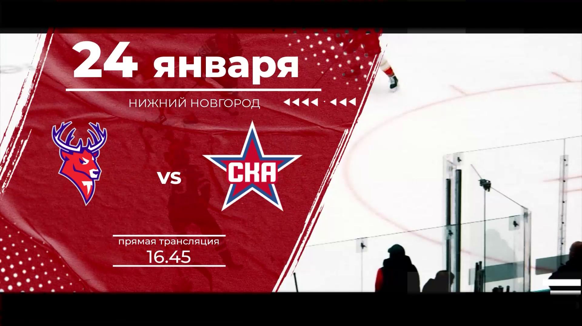 Матч КХЛ "Торпедо" - СКА: следите за игрой на телеканале "Нижний Новгород 24" и на радио "Маяк"