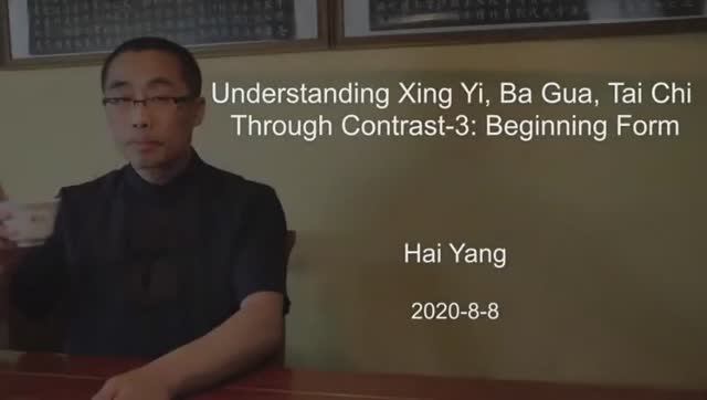 Хай Ян. Уцзи- Начальная форма в СинИ, БаГуа, Тайцзи