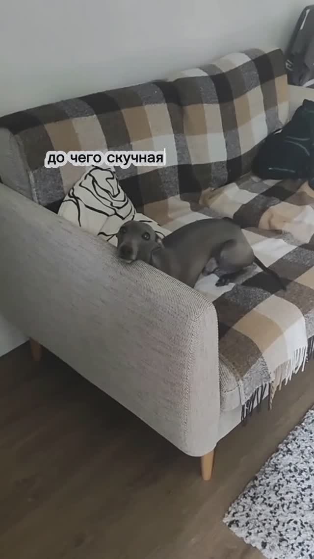 Моя нескучная жизнь!