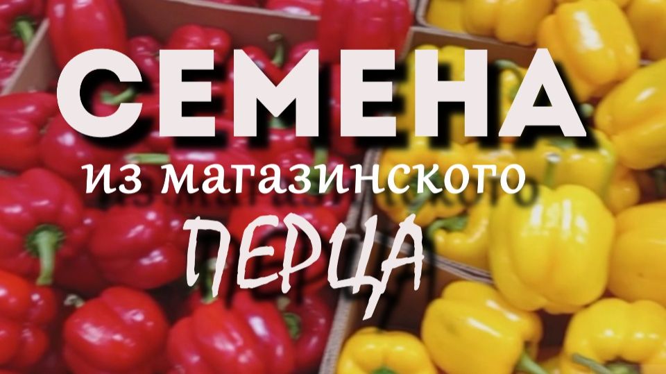 Дачные хлопоты начались🌶️