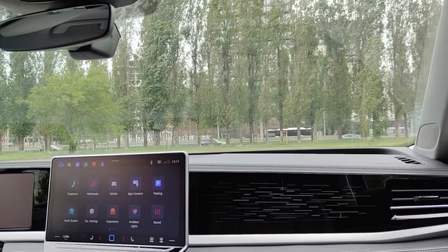 Женщина с титановой пластиной в голове. История от подписчика