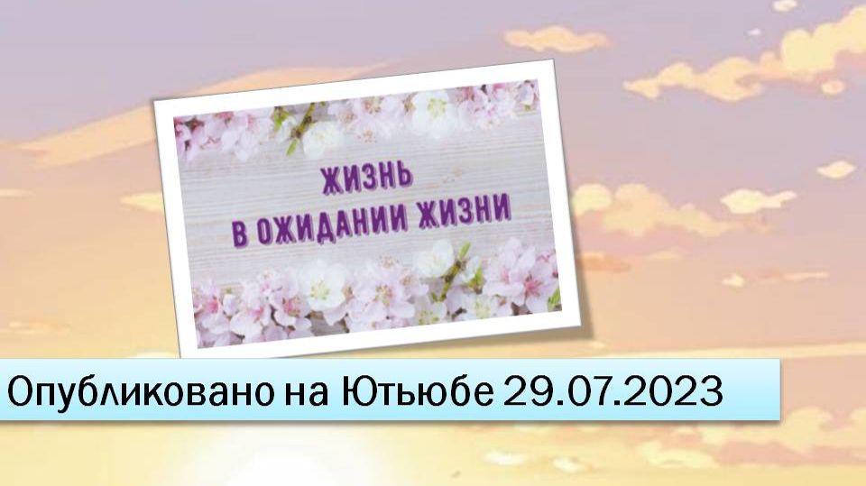 Жизнь в ожидании жизни (фрагменты эфира от 29.07.2023)