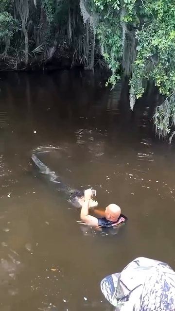 Безумец прыгнул в реку к крокодилу