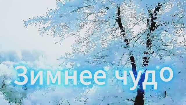 Зимнее чудо   под чарующую музыку....