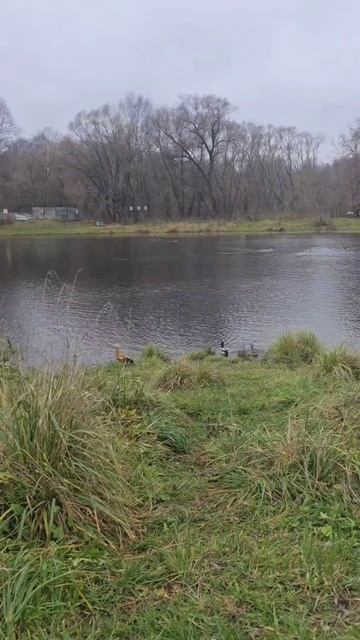 Пряник на работе 23-01-2026