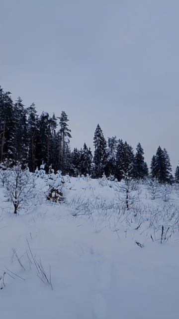 Февраль -это месяц для маленьких радостей.