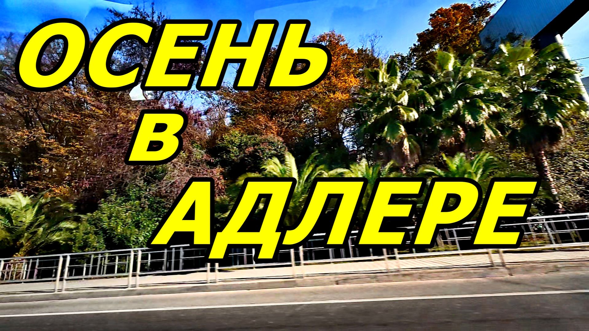 ✨ ТОТ САМЫЙ МОМЕНТ, КОГДА ПРИЕХАЛ НА ЮГ... РИТМЫ АДЛЕРА В НОЯБРЕ 2025: ДОРОГА ИЗ АЭРОПОРТА В ТАКСИ.