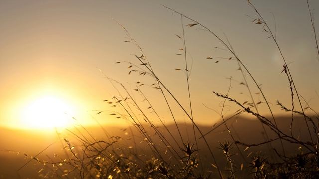 Христианства радостные зори.. (музыка)