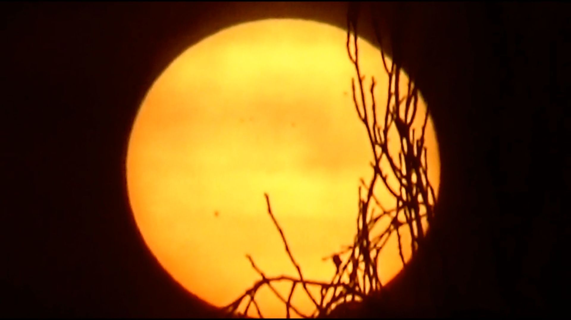 Солнце сквозь морозную дымку. Съемка 23.01.2026