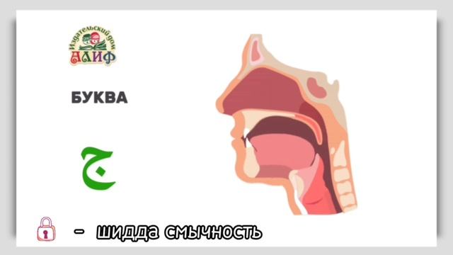 шидда (смычность)