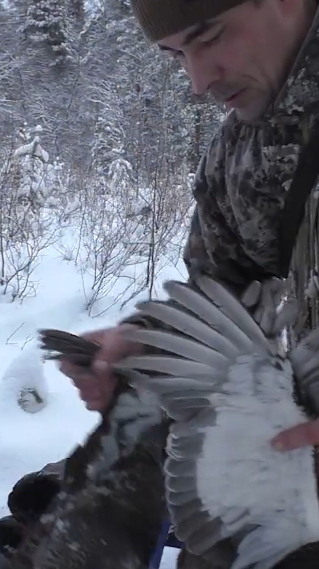 Охота на тетерева с оптическим прицелом ARTELV 4–16×50 FFP 30 мм