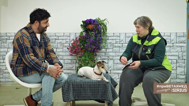 Что такое ноузворк? // #приВЕТАХМЕД