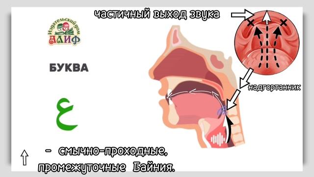 байния (смычно-проходные звуки)