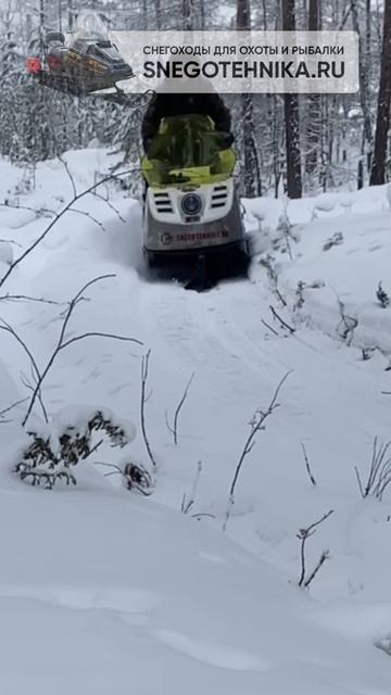Коротко о погоде: все на лёд! 🎣❄️