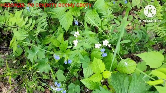 ЛЕТО! ЛЕТО! ЛЕТО!