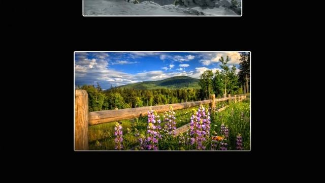 HuNTTeRR - Страж