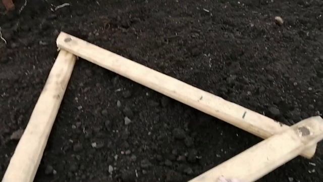 Весенние работы в теплице