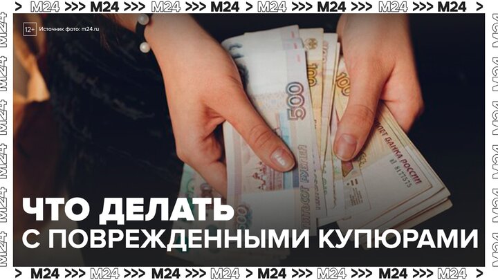 "Деньги 24": эксперты рассказали, что делать с поврежденными деньгами - Москва 24