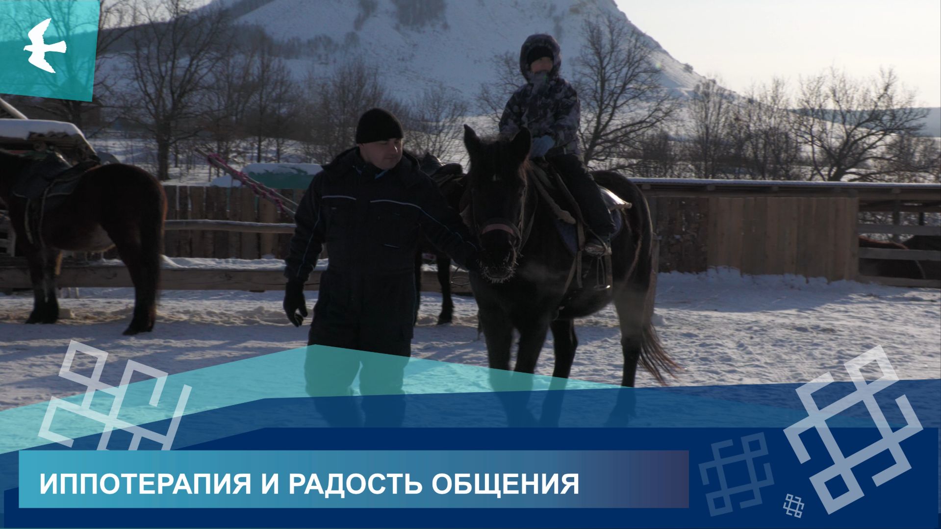 ИППОТЕРАПИЯ И РАДОСТЬ ОБЩЕНИЯ