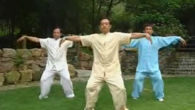 11. Великая Птица Пэн расправляет крылья Ли Чжэн