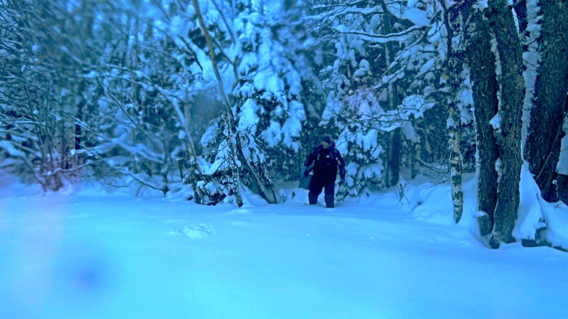 Оставил жерлицы на ночь. Рыбалка пошла не по плану. Один на озере такого не ожидал