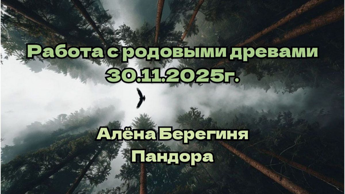 Работа с родовыми древами 30.11.2025г.Алёна Берегиня, Пандора.