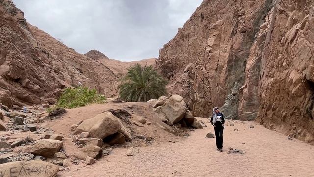 2025-2-Шарм-эль-Шейх (На Квадроциклах)