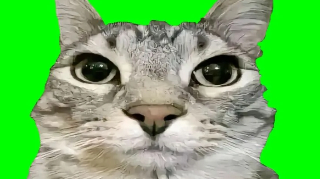 23-01-2026❄️Видео от Пелагеюшки 👍👍