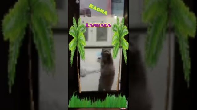 Репетиция парада.